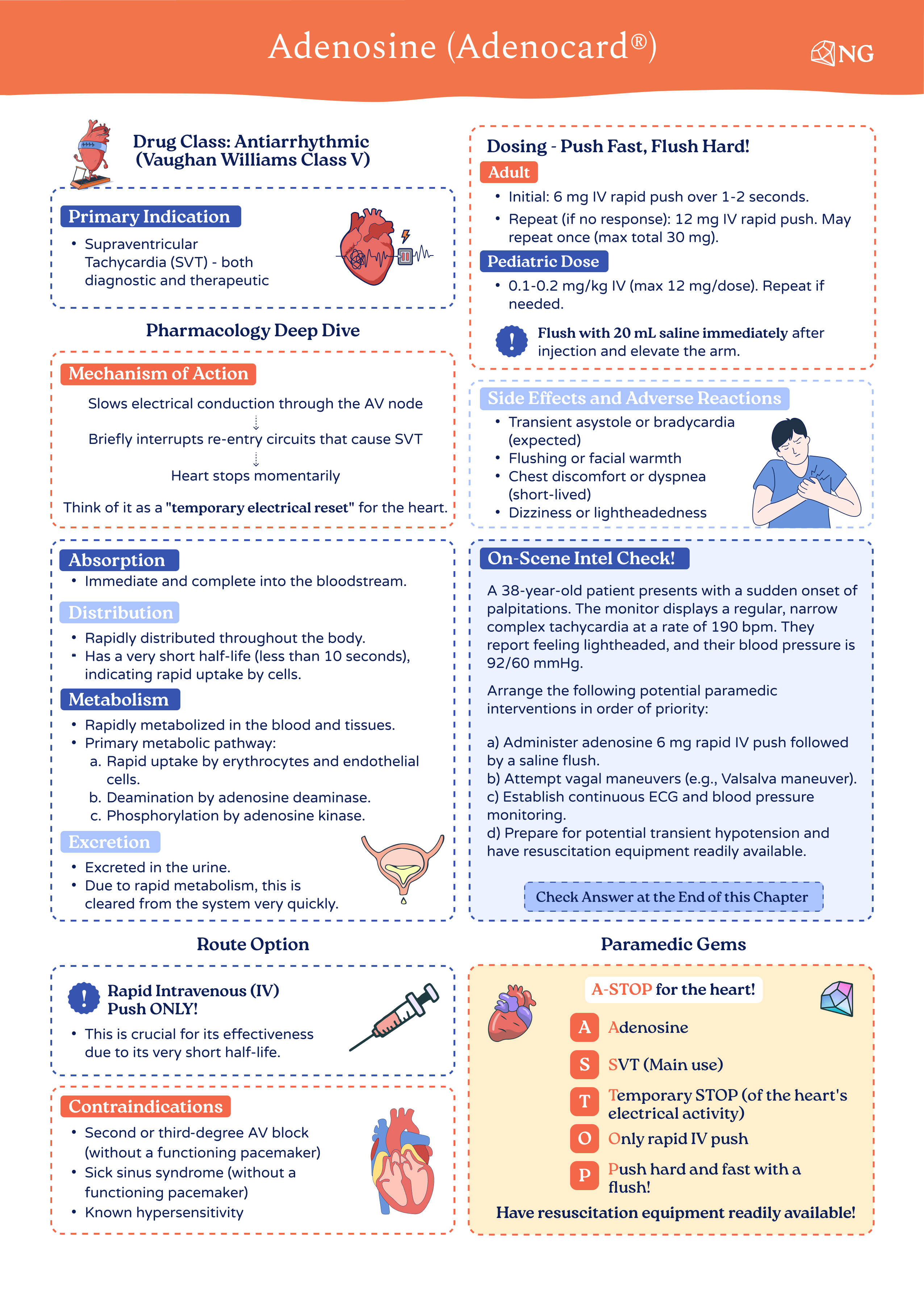 The Complete Paramedic & EMS Meds Practice Workbook – Nursing Gems